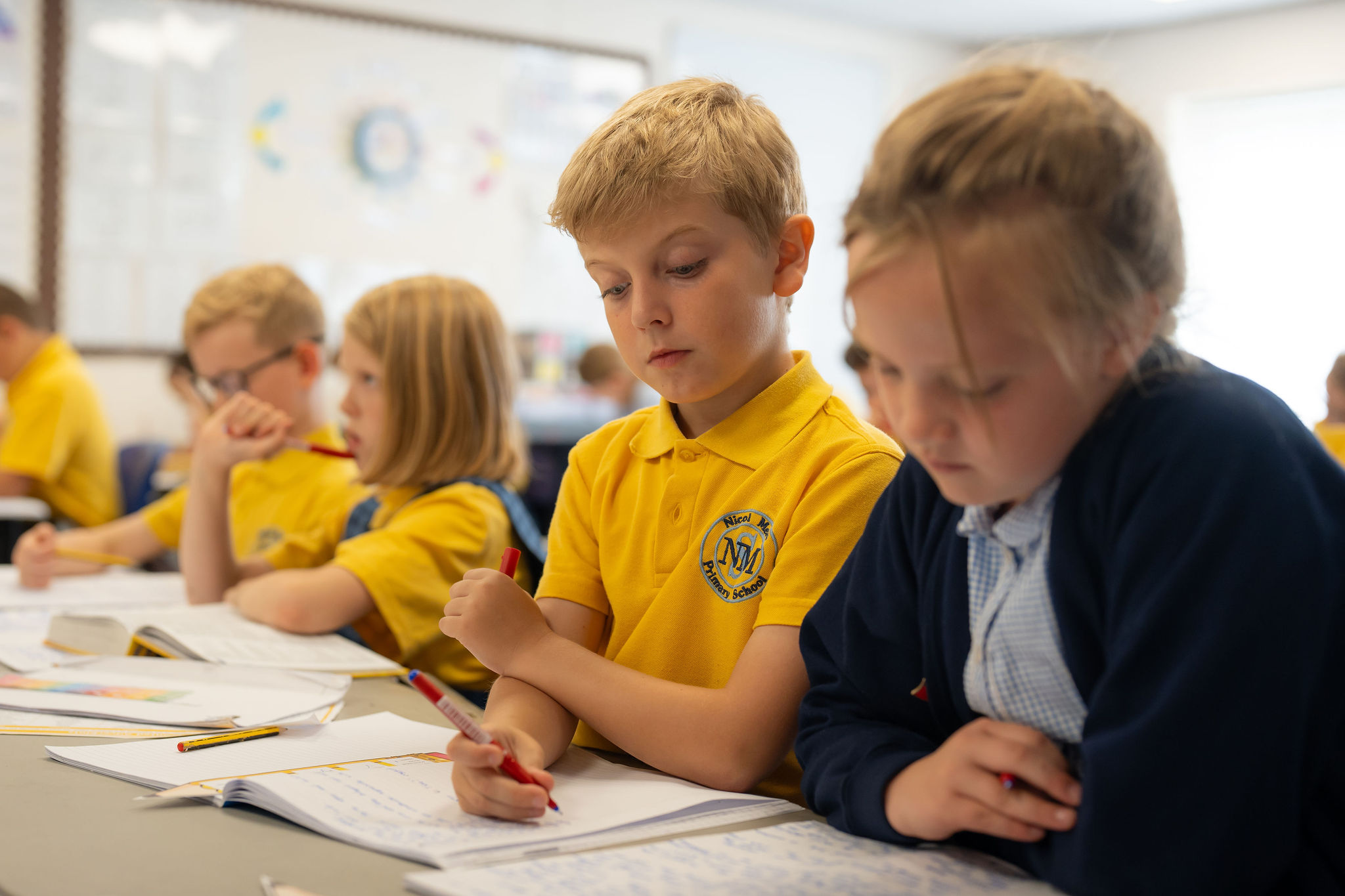 Curriculum Statement - Nicol Mere Primary School